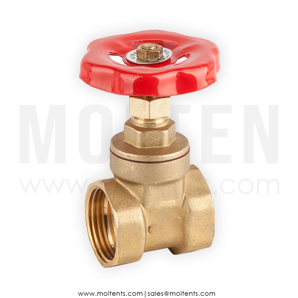 CHW Gate Valve | MOLTEN
